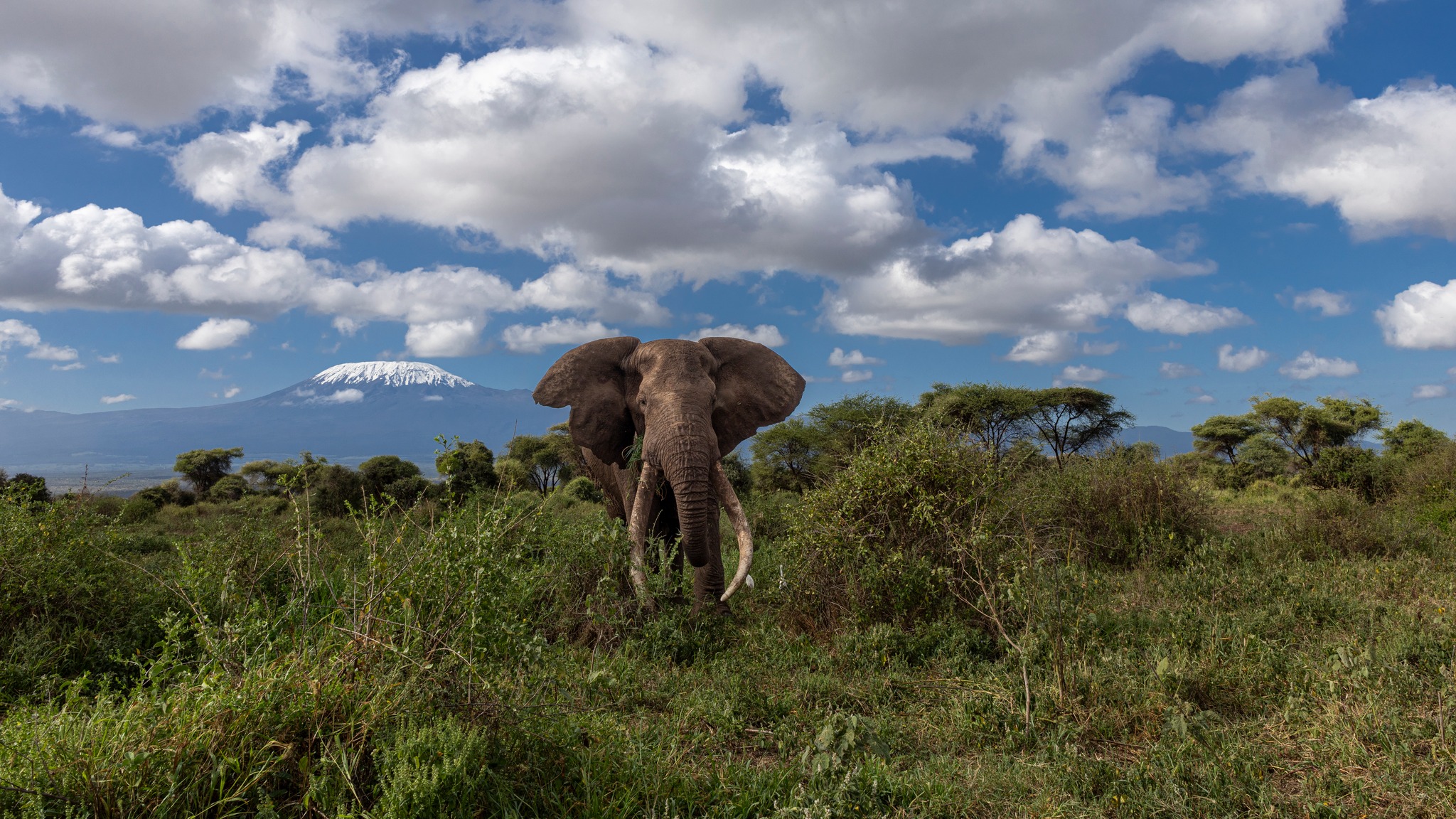 Top International Photography Tours - DCP Expeditions Blogs