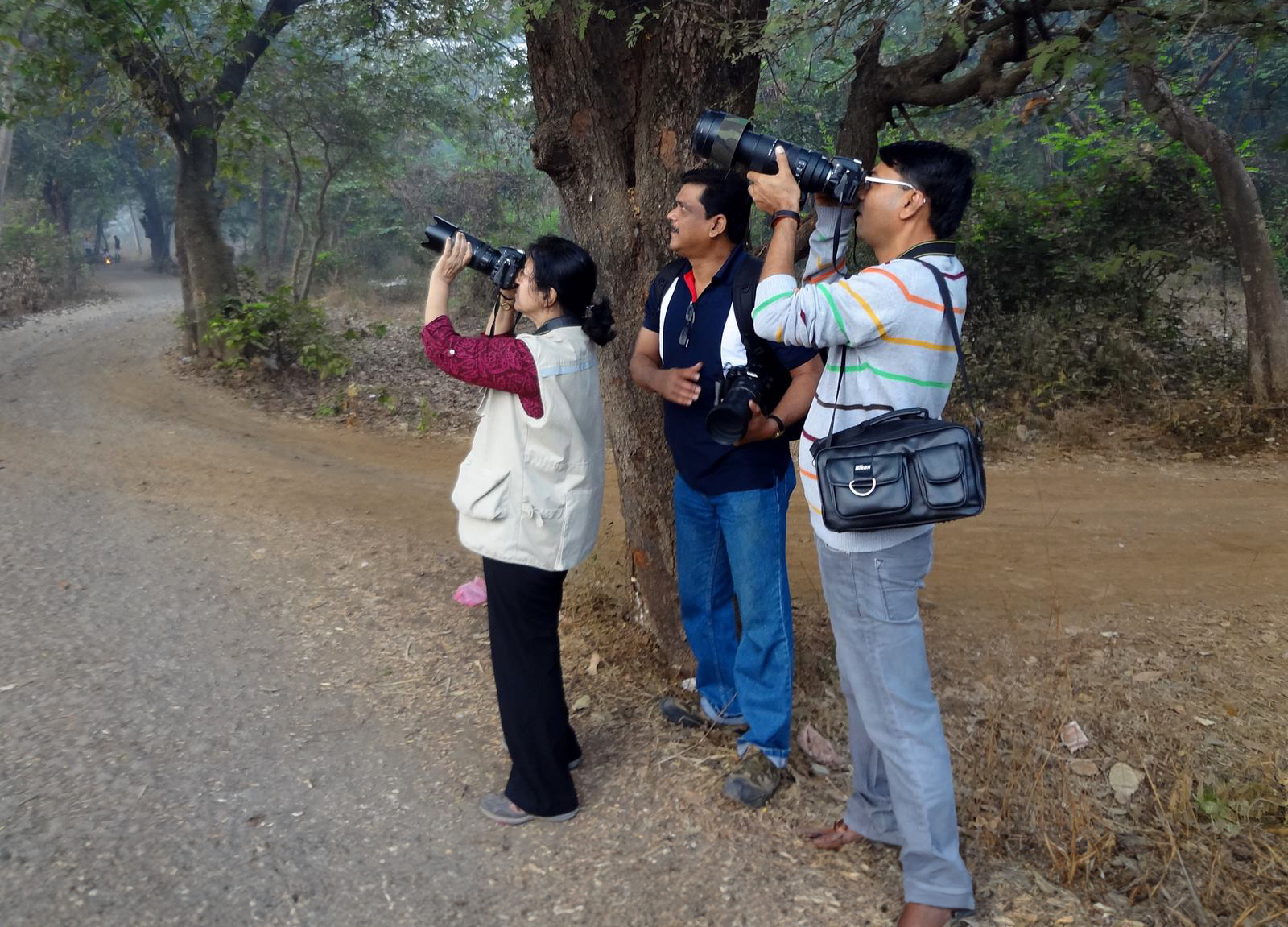 DCP Weekend Photo Walks