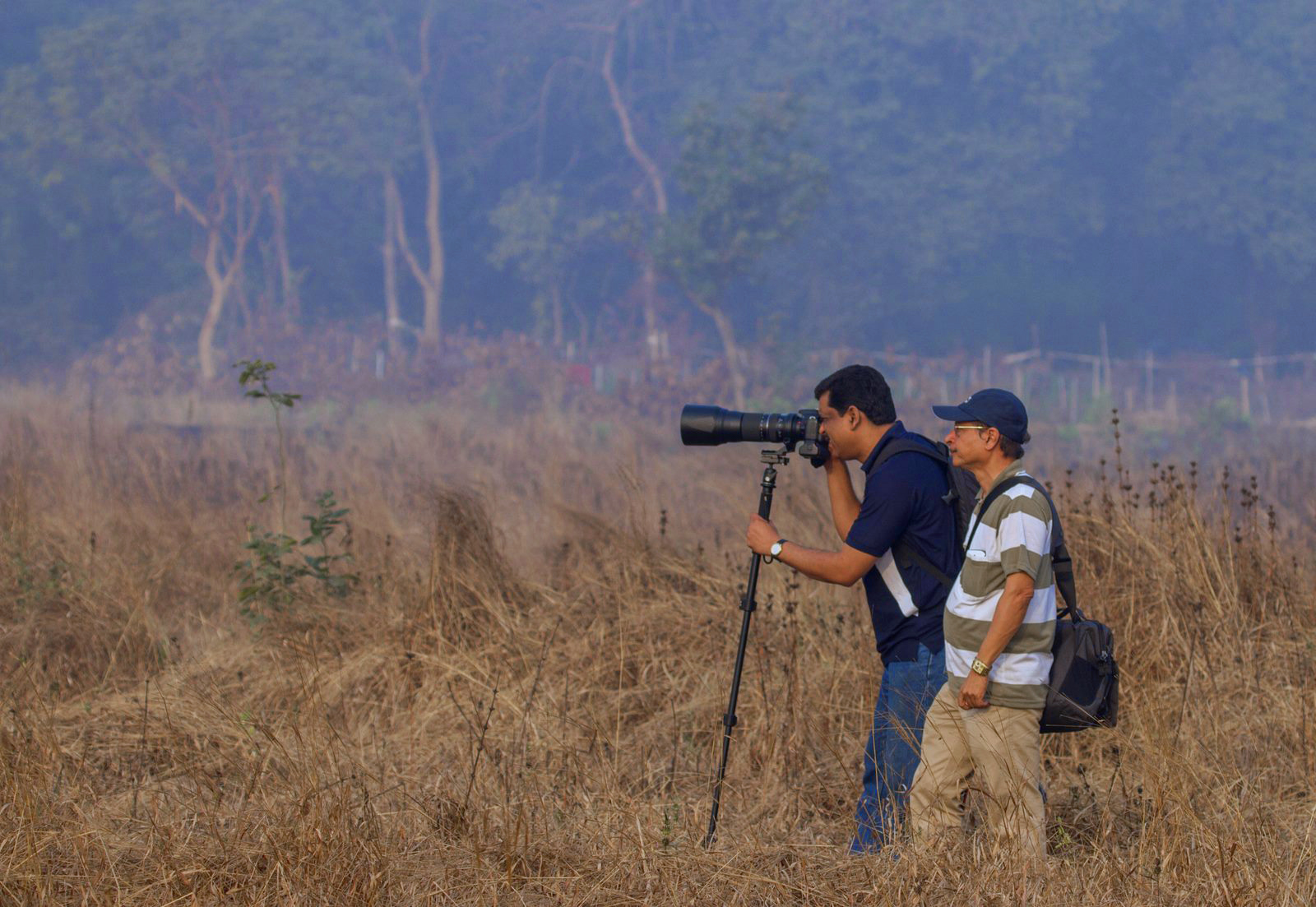 DCP Weekend Photo Walks